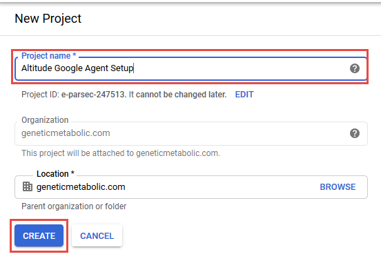 Google Agent Configuration